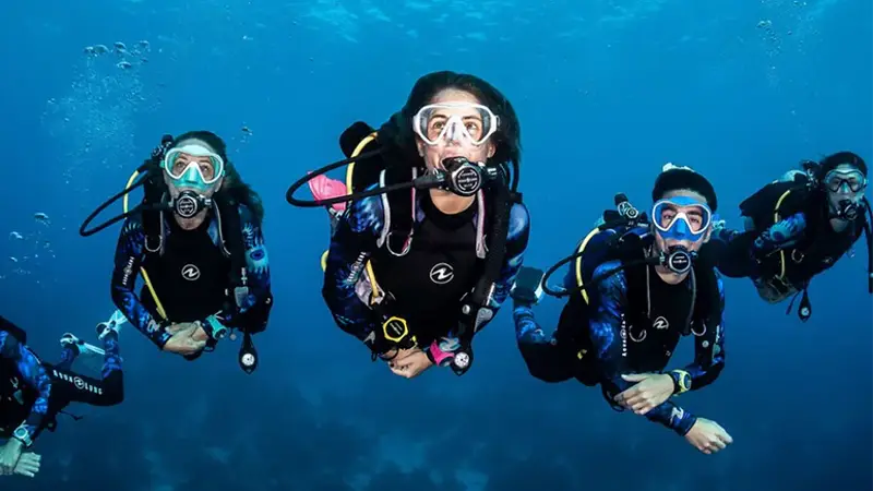 What to pack for scuba diving in New Zealand - Go Dive New Zealand